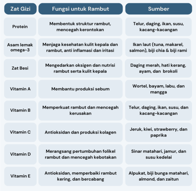 Cara Merawat Rambut Yang Benar Dan Sehat - IkanQu.com